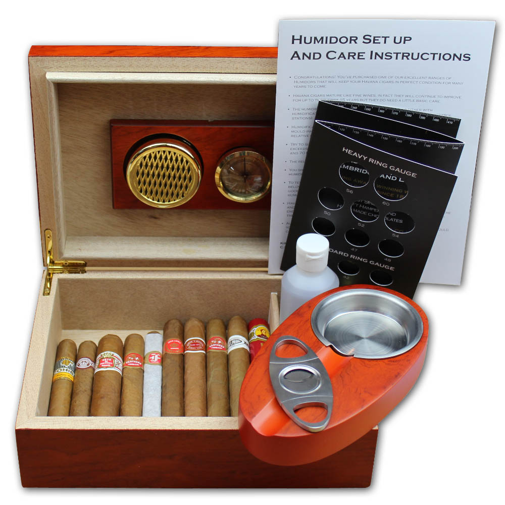 Beginner Compendium Humidor - The Starter Pack Cigar Selection