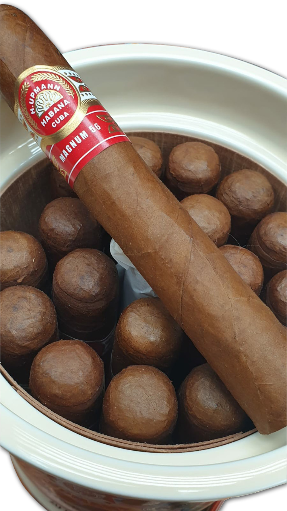 H. Upmann Magnum 56 Cigar - Ceramic Jar of 20