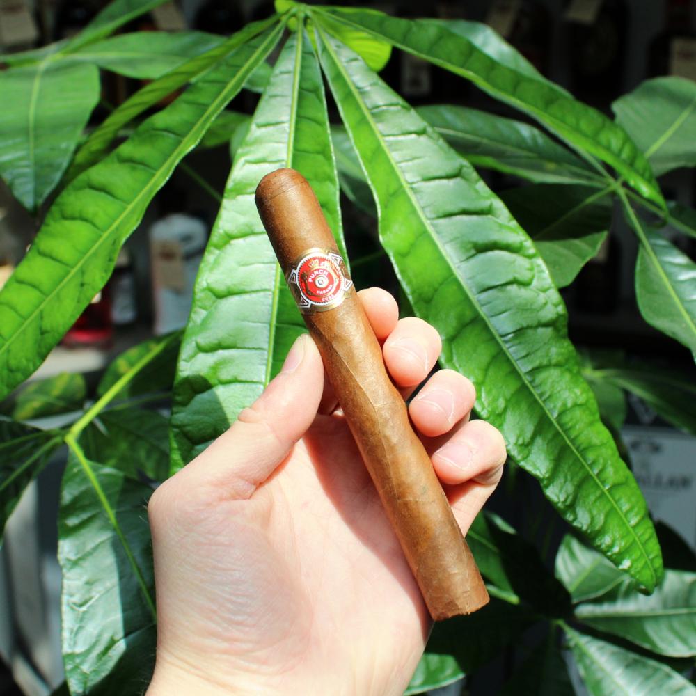 Punch Cigars